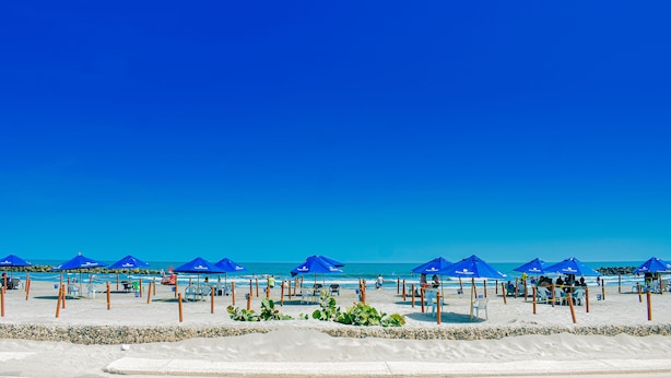 Uma praia com guarda-sóis e cadeiras azuis, céu claro e o oceano ao fundo.