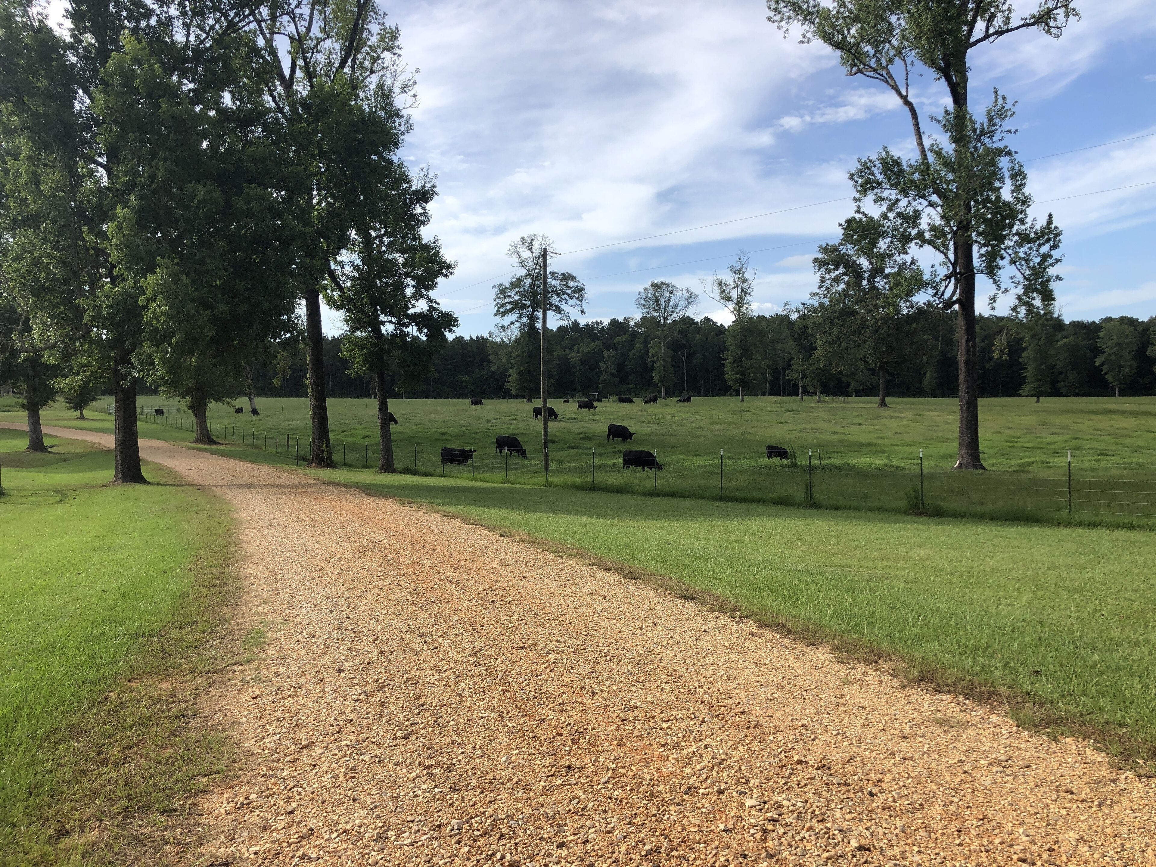 10 Best Ranches To Stay In Louisiana, USA | Trip101