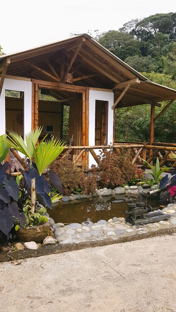 La Penal Amazon Lodge - Pastaza