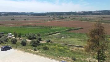 Paisagem rural com campos, estrada e um carro.