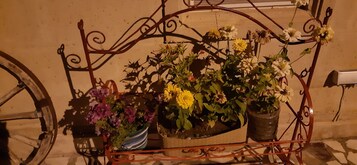 Terraço/pátio interior