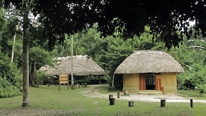 Cabanas com telhados de palha, portas e janelas de madeira, rodeadas por vegetação e árvores.