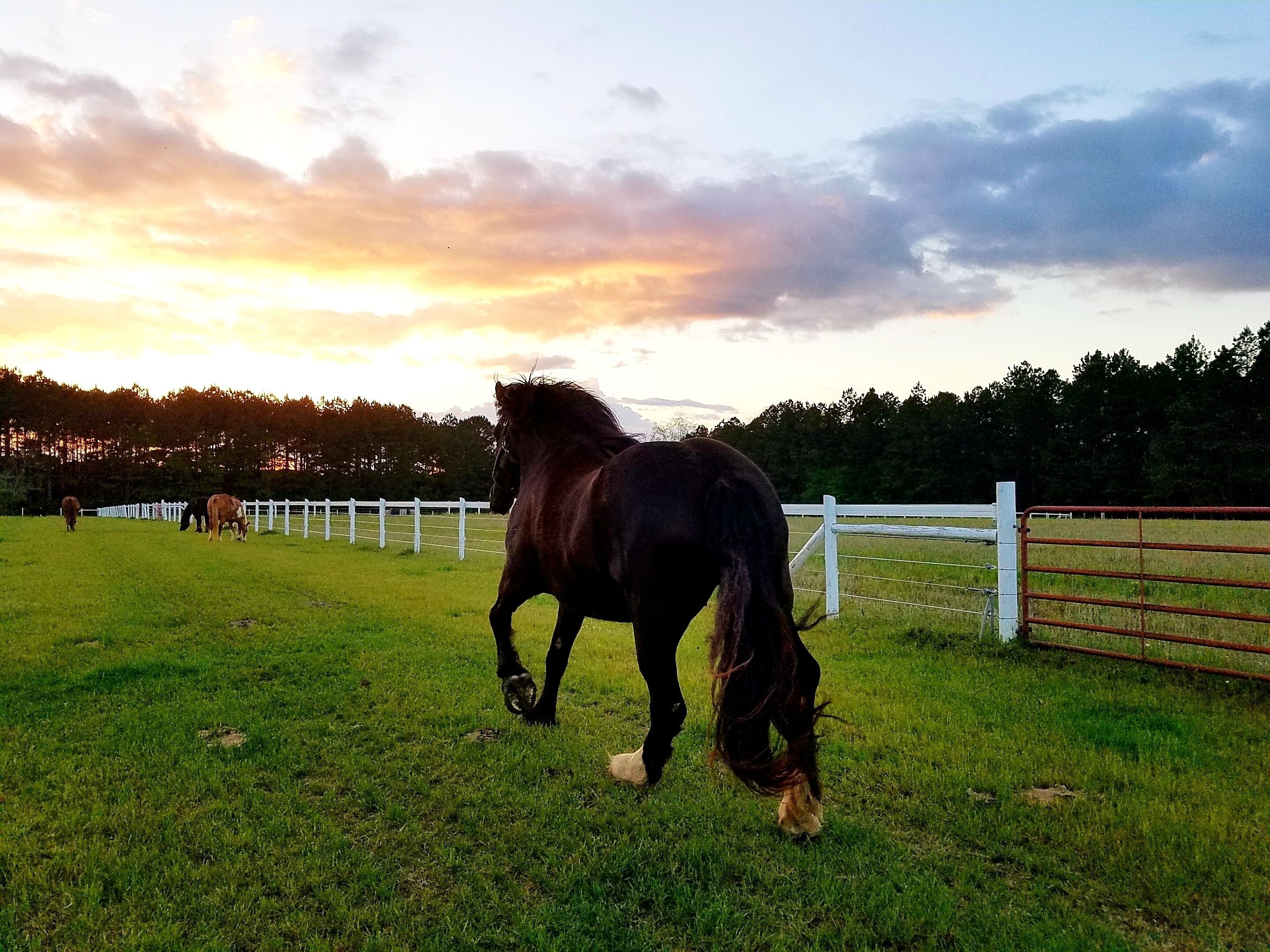10 Best Ranches To Stay In Alabama, USA | Trip101