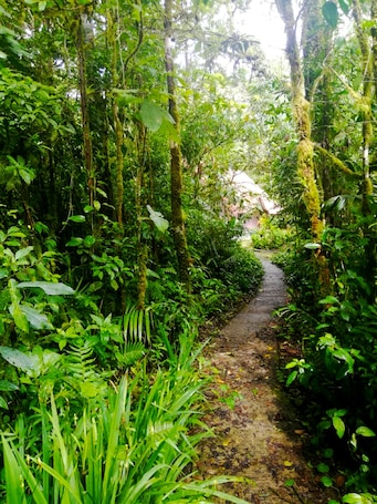 Área da propriedade. Cabañas Las Orquideas