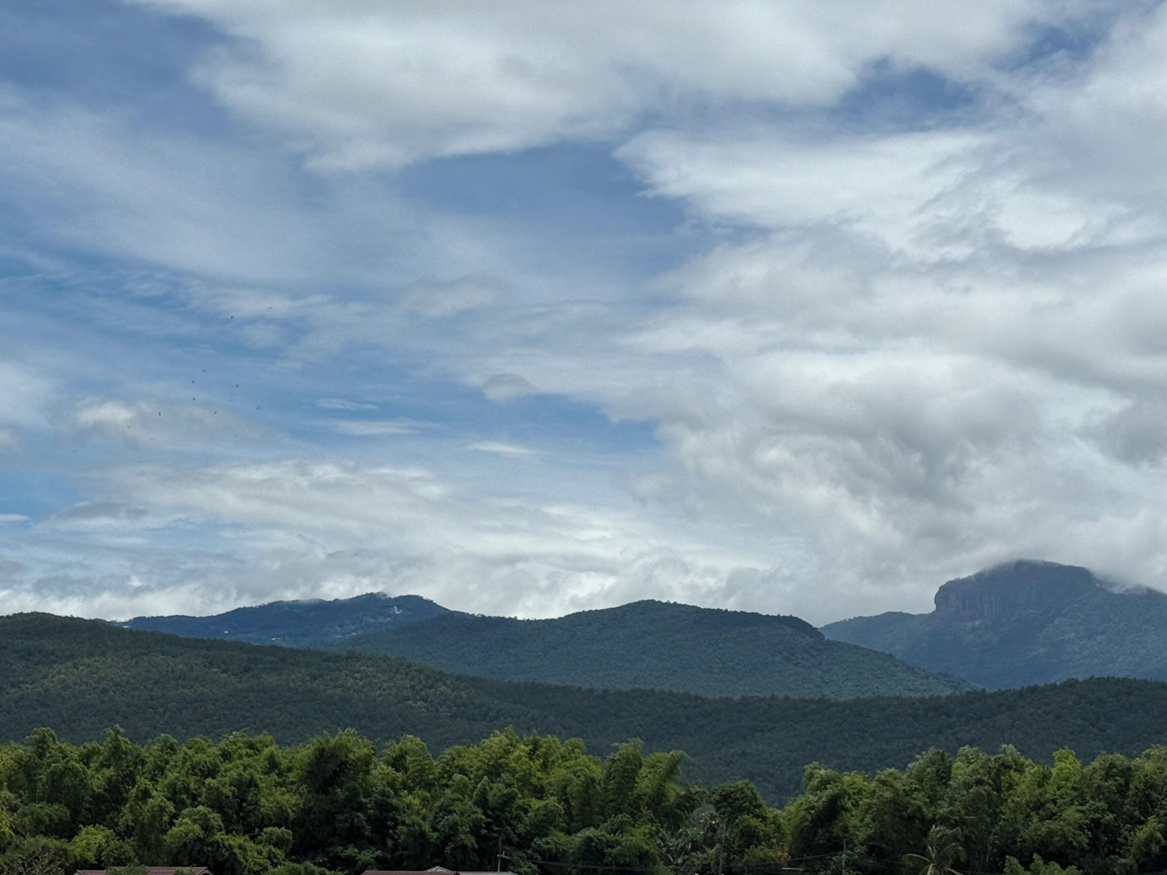 Paisagem montanhosa com floresta densa e céu nublado.