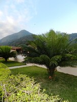 Área da propriedade