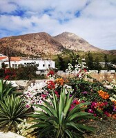 Terrenos do alojamento