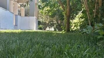 Terrenos do alojamento