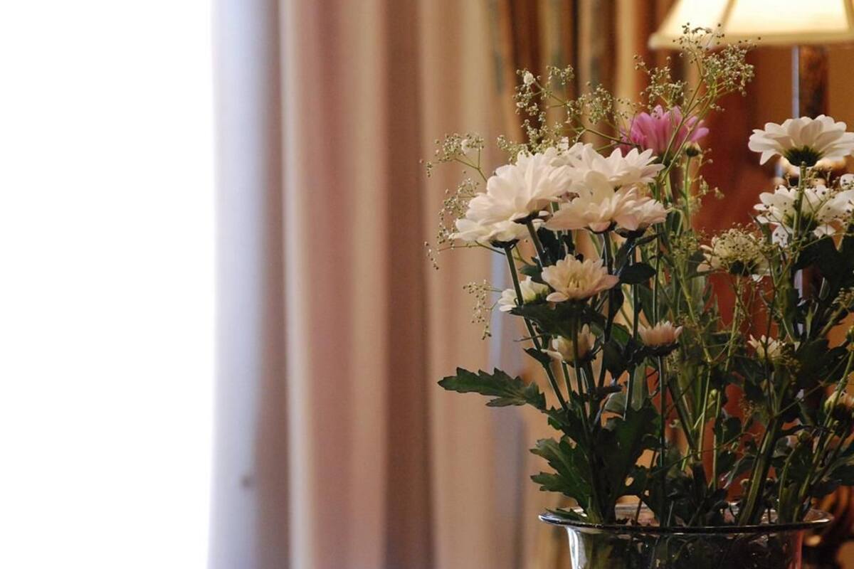 Um vaso com flores numa sala com cortinas e um abajur.