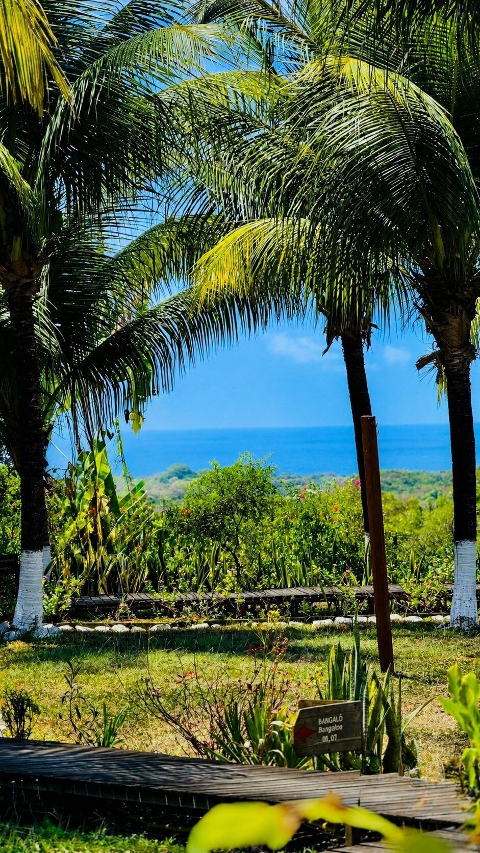 Um jardim tropical com palmeiras, um deck de madeira e uma placa indicando 'BANGALORO 01.07'.