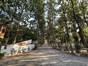 Uma trilha bordeada por árvores que leva a um edifício com uma placa que diz 'Longmuan'.
