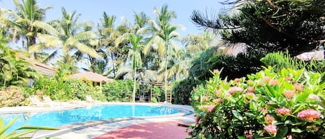 Piscina exterior, da(s) 8:00 à(s) 19:30, guarda-sóis, espreguiçadeiras