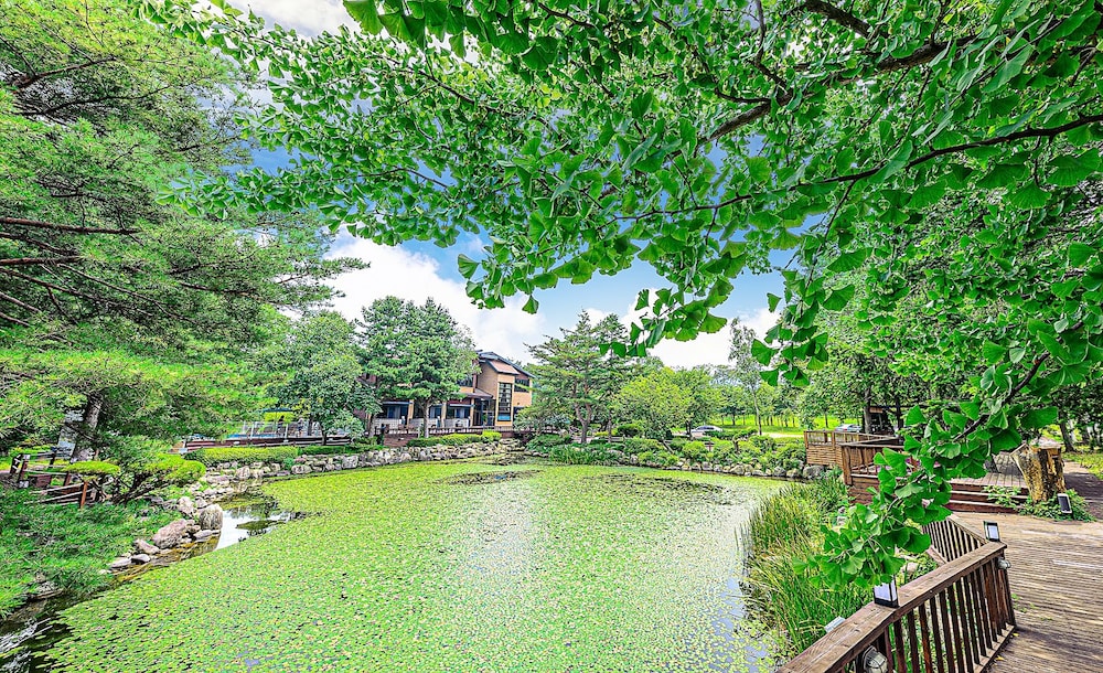 May Garden - Gangwon-do