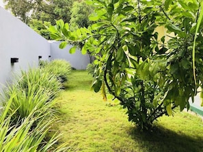 Jardim
