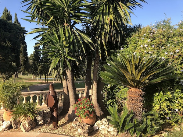 Villa De Luxe Oliva Nova Golf & Beach - Oliva