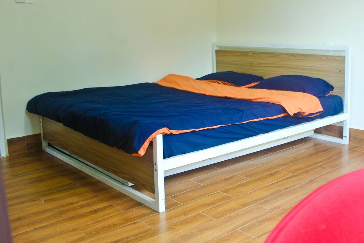 Roupa hipoalergénica, secretária, cortinas/cortinados opacos