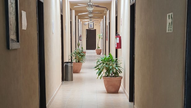 Um corredor longo e bem iluminado, com piso de azulejos, plantas em vasos e ventiladores de teto.