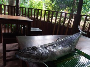 Terrenos do alojamento