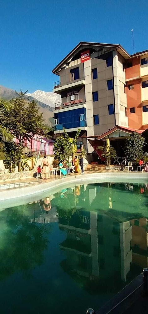 Hotel The Woodz - Lahaul And Spiti