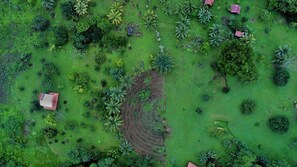 Jardim