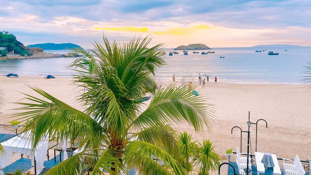 Uma praia com palmeiras, areal e barcos na água.