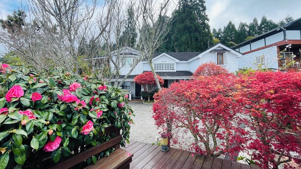 Um deck de madeira com um banco, rodeado por flores rosa vibrantes e folhagem vermelha. Ao fundo, visível um edifício branco com estilo arquitetônico tradicional.