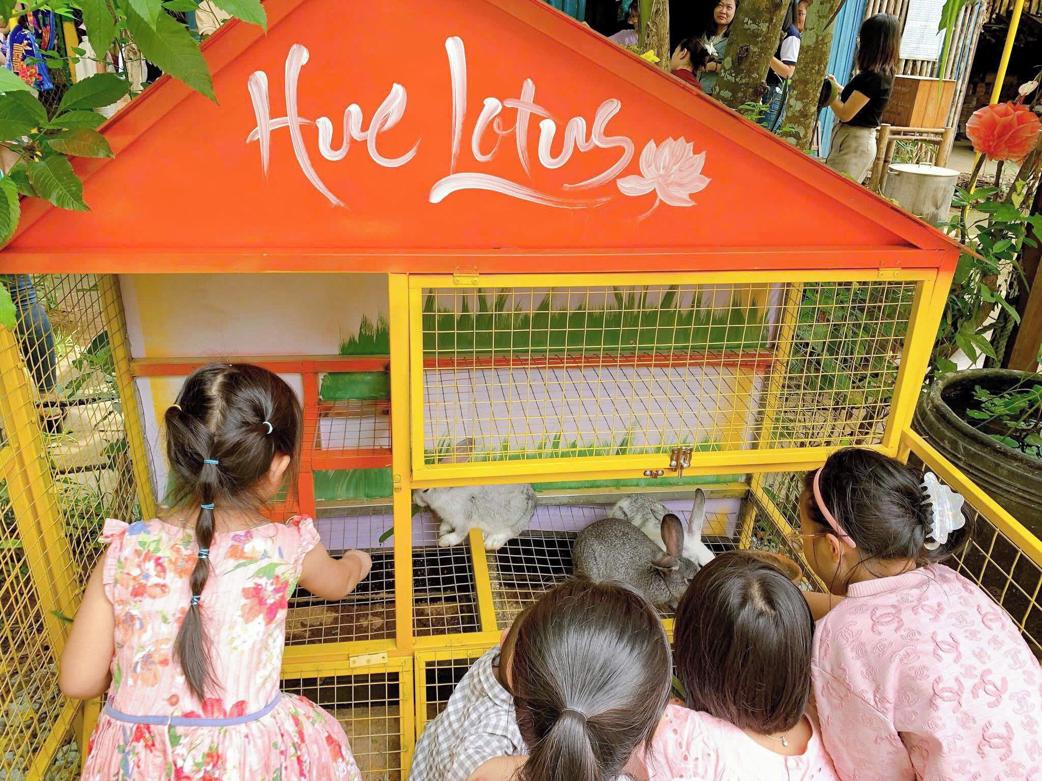 Um pequeno recinto para animais, com cores vibrantes, e uma placa que diz “Hue Lotus”.