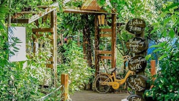 Jardim