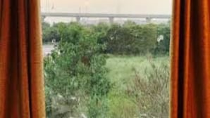 Vista pela janela com cortinas, mostrando uma ponte ao longe e vegetação em primeiro plano.