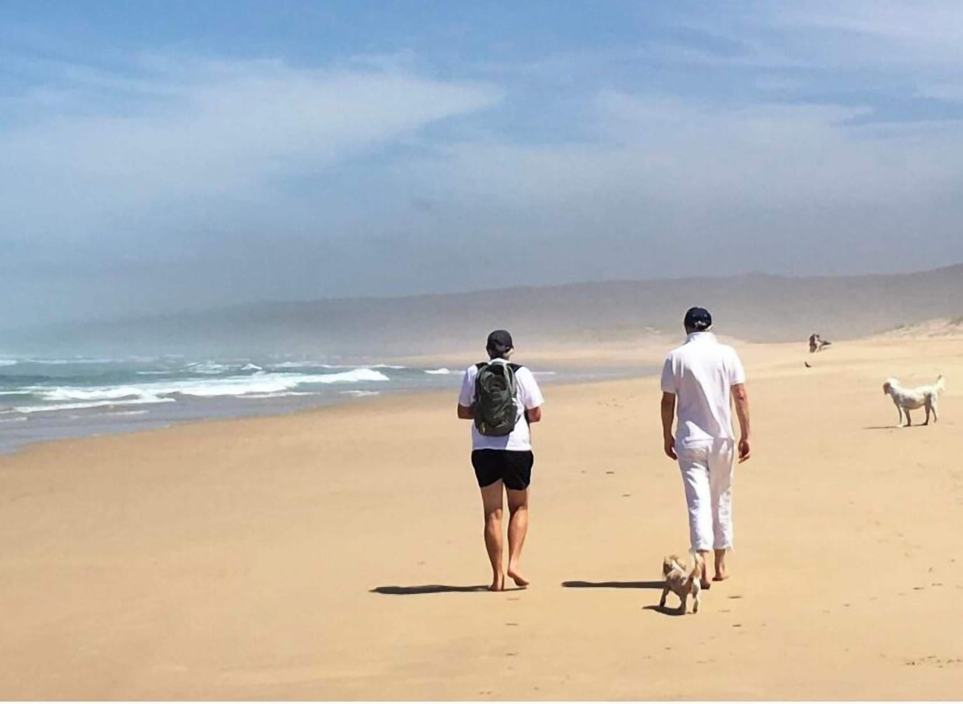 Uma praia arenosa com duas pessoas caminhando e um cachorro.