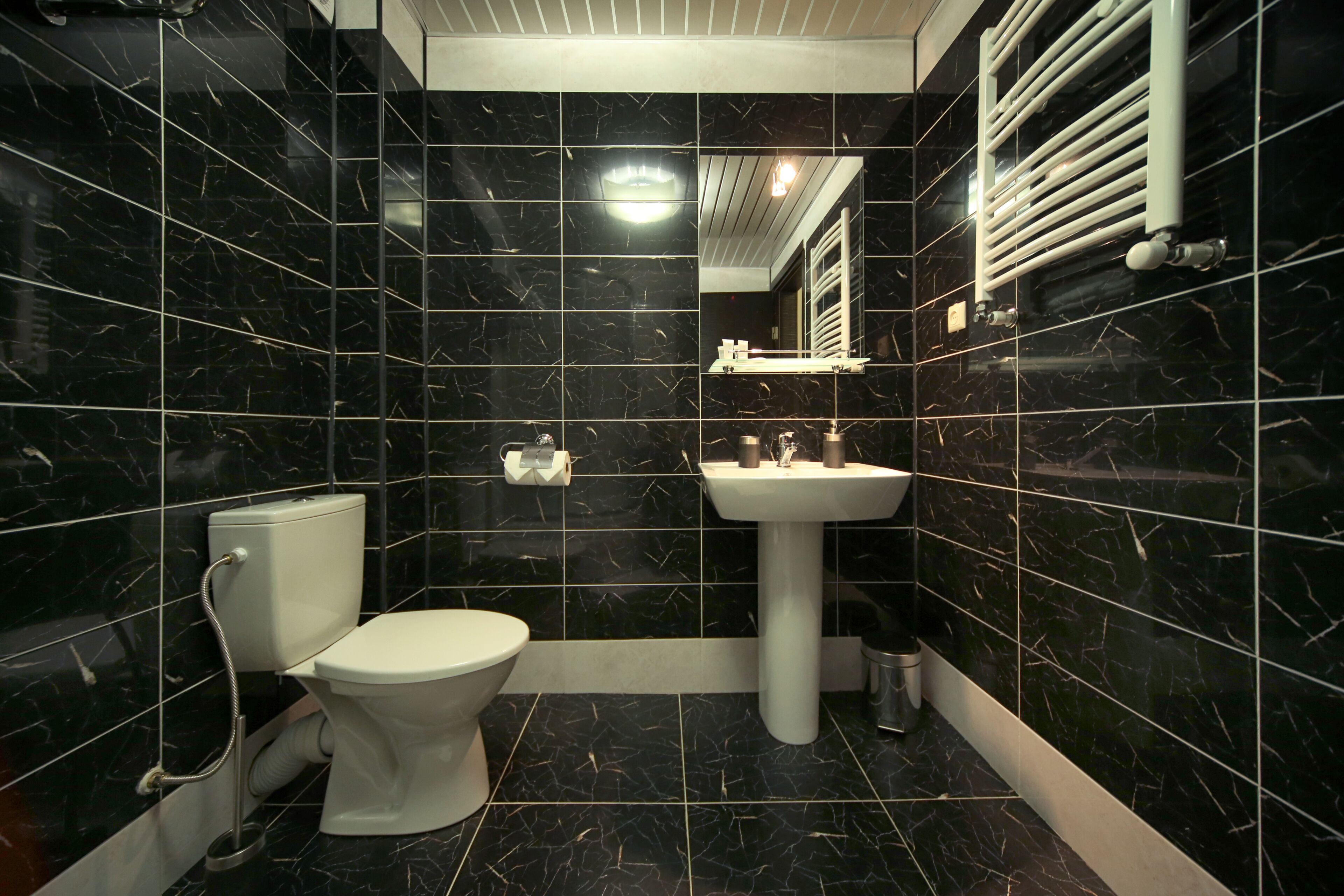 Casa de banho com azulejos de mármore preto, sanita branca, lavatório branco e um porta-toalhas.