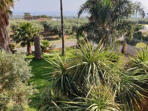 Terrenos do alojamento