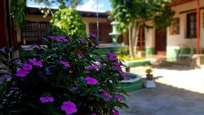 Um pátio com uma planta em vaso com flores roxas em primeiro plano, um edifício tradicional com telhado de azulejos ao fundo e uma pequena fonte.