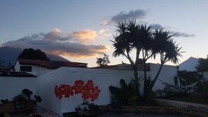 Jardim