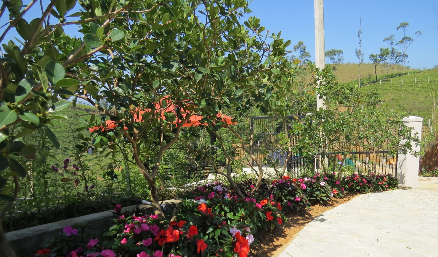 Jardim