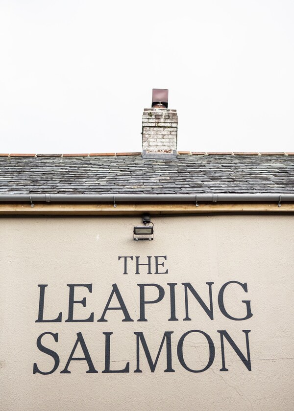 The Leaping Salmon - Dartmoor Forest