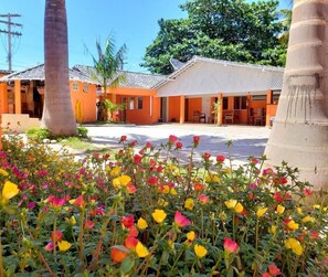 Estacionamento grátis