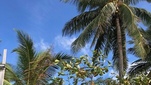 Uma pessoa ao lado de uma prancha de surf amarela, palmeiras e cabanas com telhado de palha em um cenário tropical.