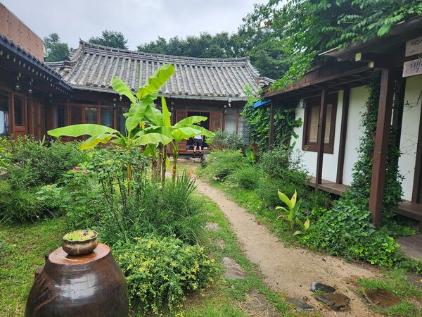 Namuae - Gyeongju-si