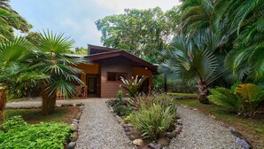 Uma casa moderna rodeada por vegetação tropical exuberante.