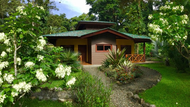 Uma pequena casa com telhado verde, rodeada por vegetação exuberante e flores brancas.