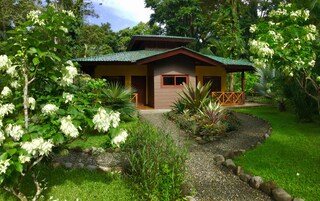 Uma pequena casa com telhado verde, rodeada por vegetação exuberante e flores brancas.