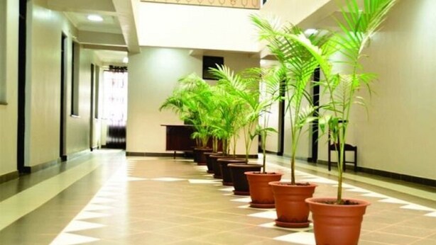 Um corredor com plantas em vasos dispostos ao longo da parede, piso de azulejos e uma porta no final.