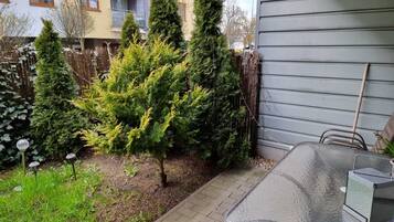 Apartamento Familiar | Terraço/pátio interior