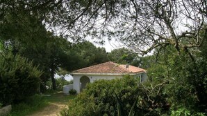 Jardim
