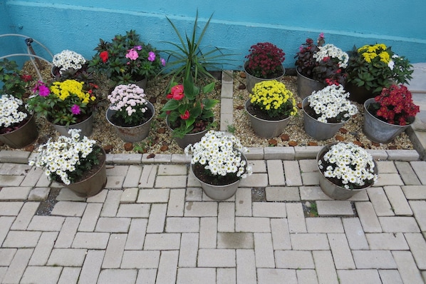 Jardim
