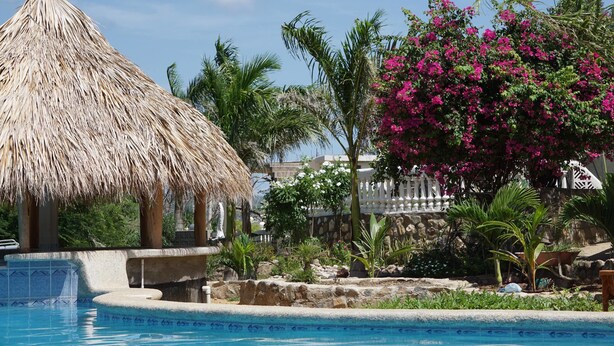 Uma área de piscina com estrutura de telhado de palha, cerca branca e flores de bougainvillea rosa.