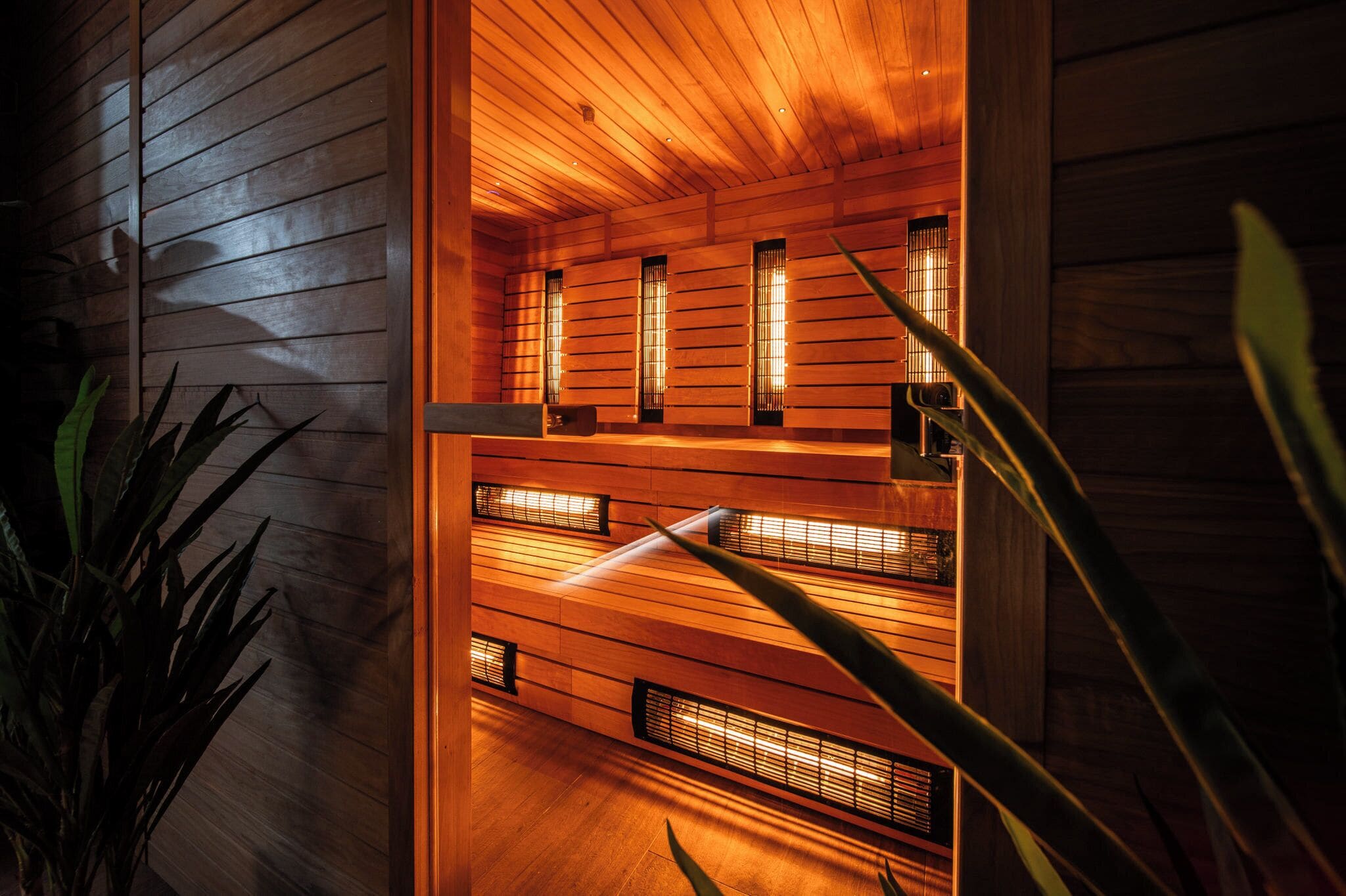 Uma sauna com paredes de madeira, várias janelas, um banco e uma planta.