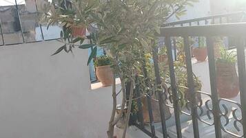 Quarto real | Terraço/pátio