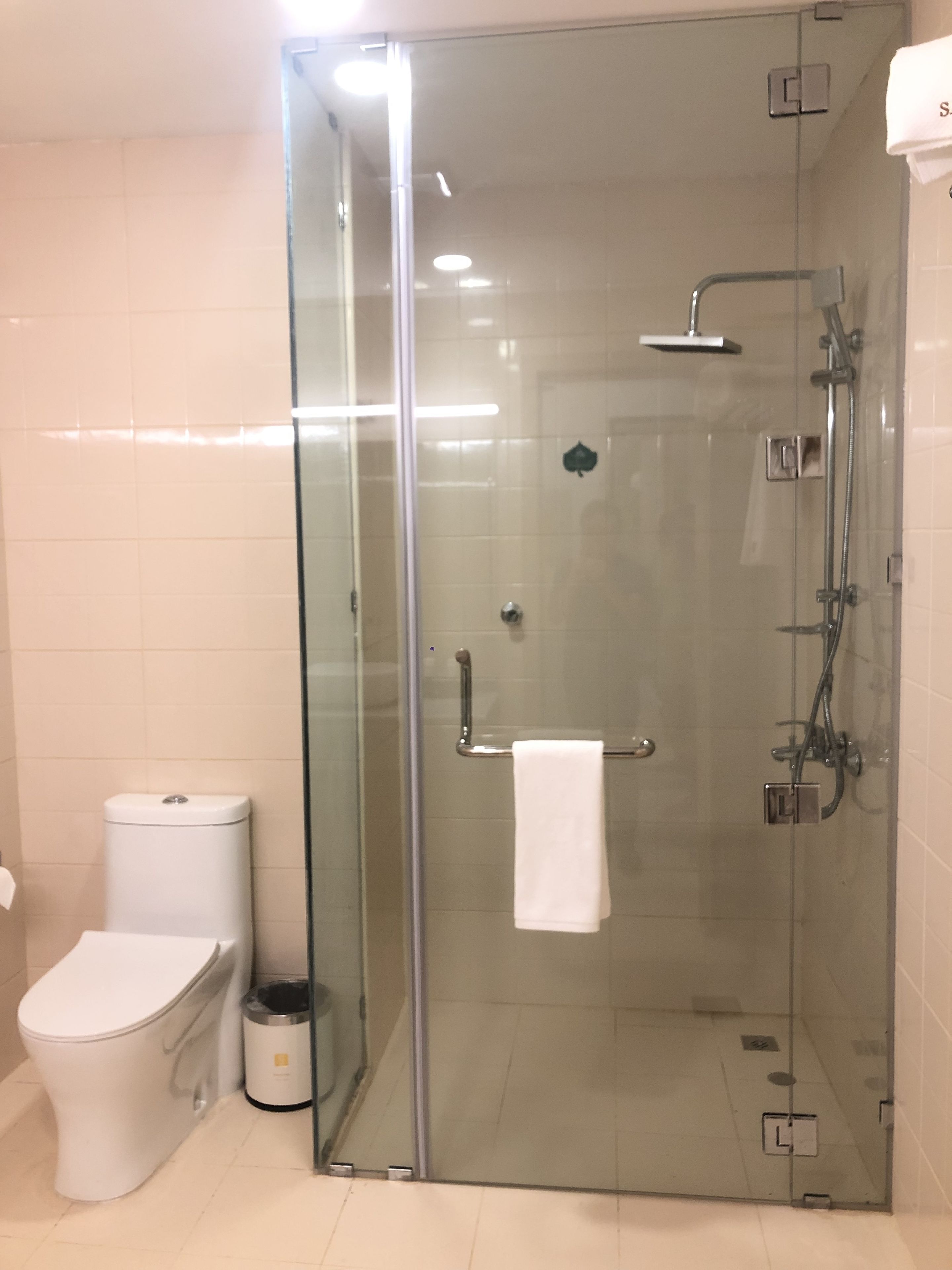 Boxe de chuveiro envidraçado com chuveiro manual, porta-toalhas e vaso sanitário com lixeira ao lado.